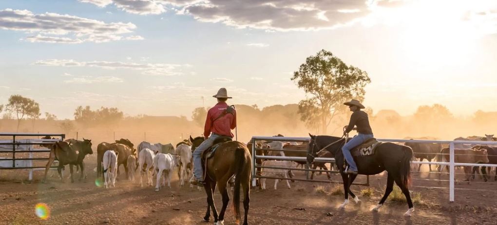 Other Northern Territory Stations | Archives